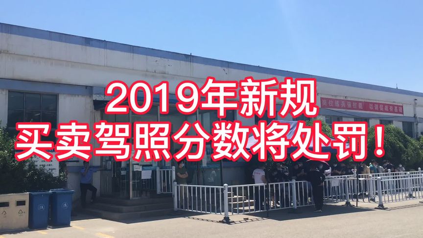 北京市车管所周边分虫泛滥,不要为了蝇头小利铤而走险!