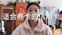 盘点几张适合养卡的信用卡，这些卡你都有吗？