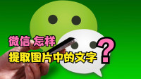 微信怎样提取图片中的文字?方法非常简单,但很多人都不知道