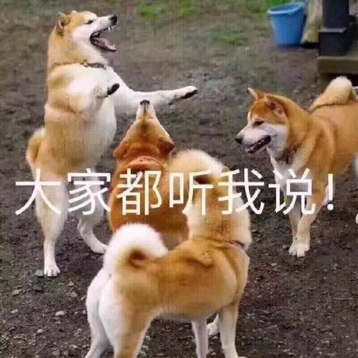 生活实用AI堂 