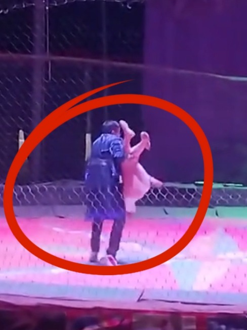 突发意外!马戏团女演员从高空摔落