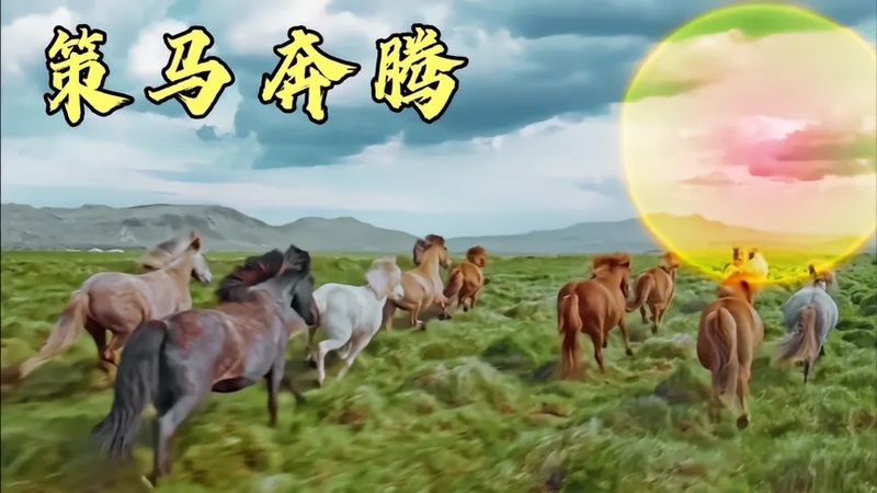 AIM: 策马奔腾,原野驰骋
