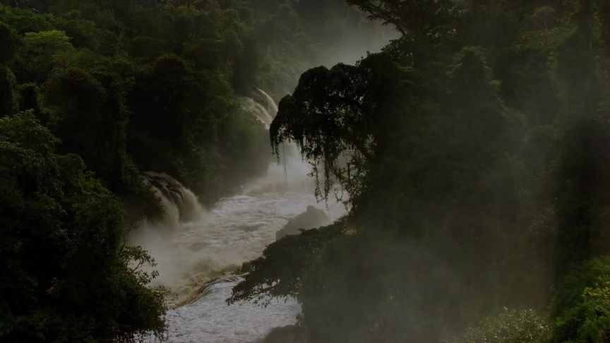巴西热带雨林被疯狂砍伐如果不保护二十年后将消失
