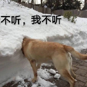 穿行在雪域的孤狼 