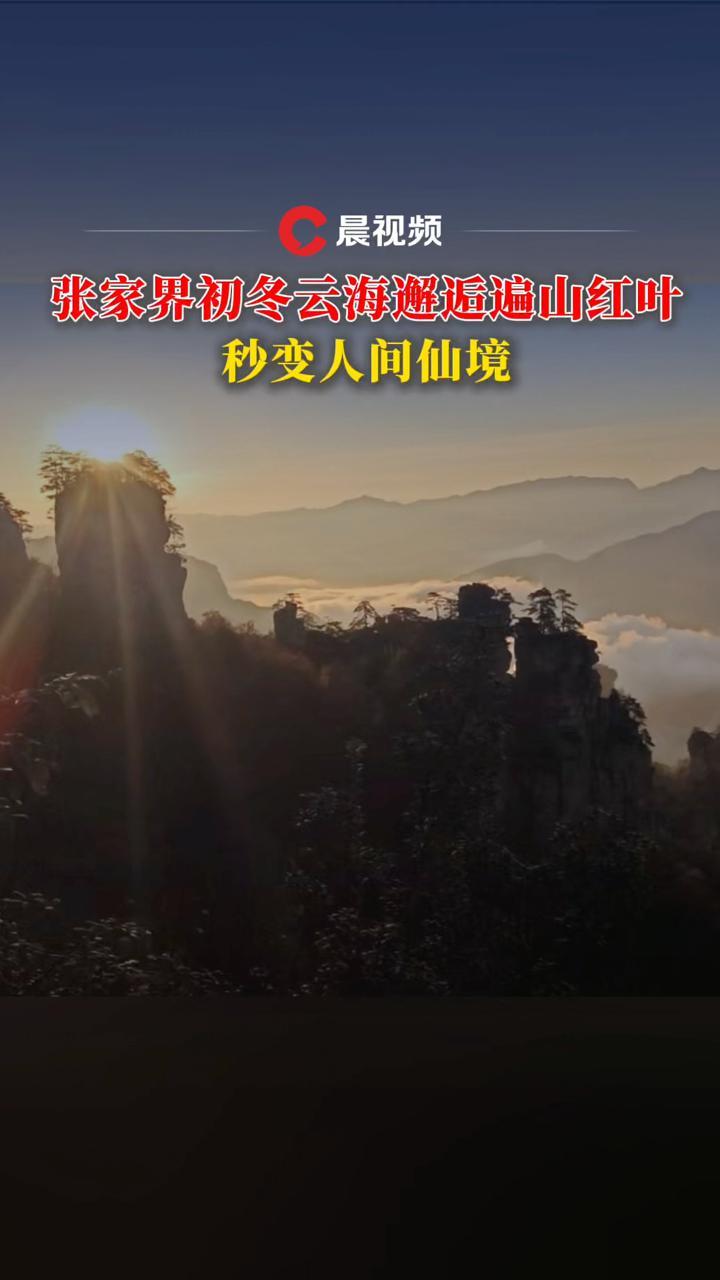 张家界初冬云海邂逅遍山红叶,秒变人间仙境