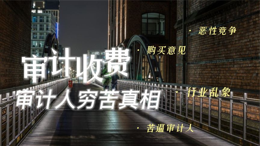 这就是审计人穷苦的原因吧?!