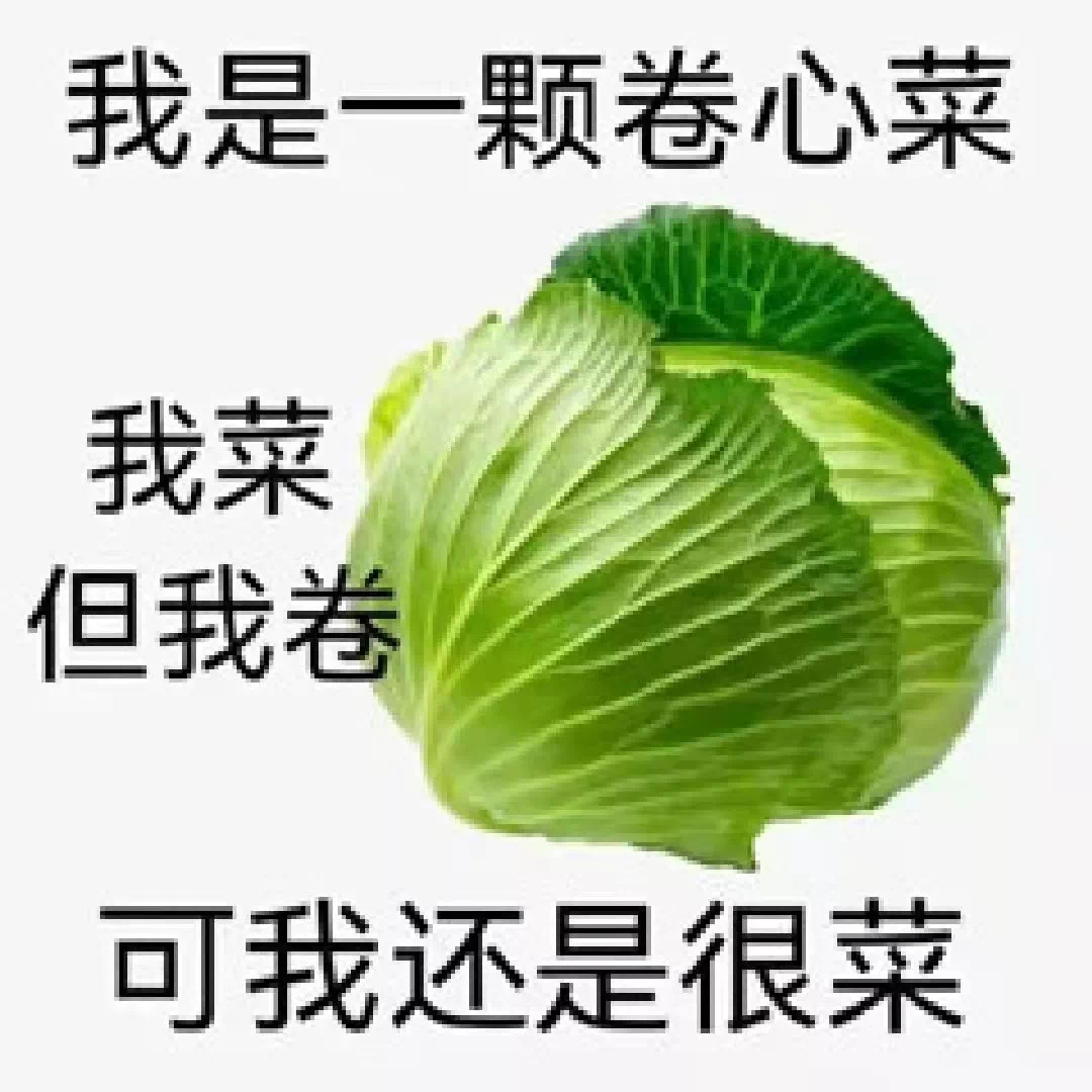 CoderGK 