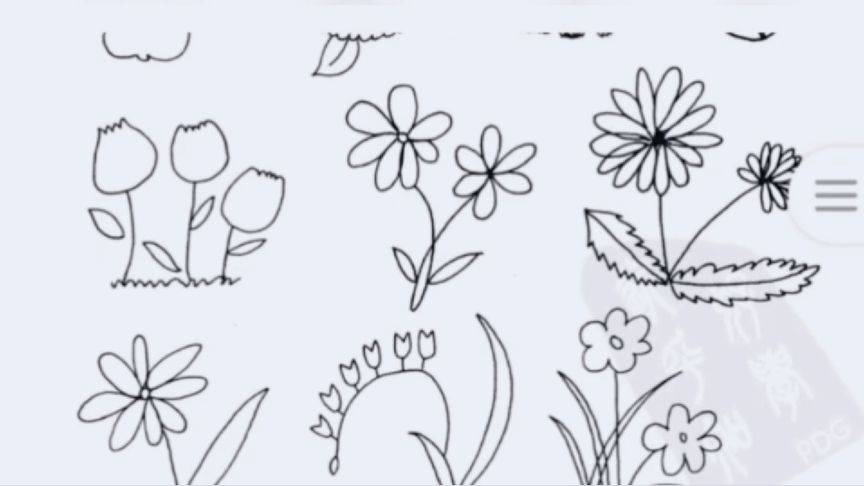 简笔画【植物篇】