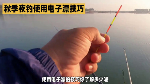 秋季夜钓使用电子漂技巧