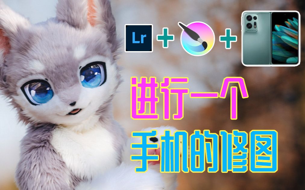 OPPO Find N2 福瑞手机修图全流程,让你看得明明白白