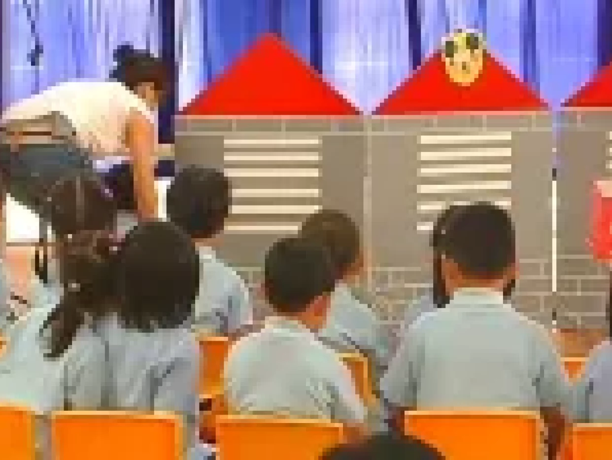 中班数学《趣味排序》幼儿园优质课名师公开课教学视频