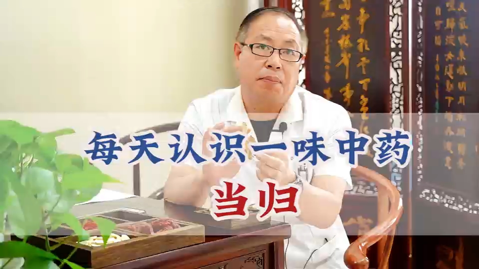 强寿中医院科普当归的作用