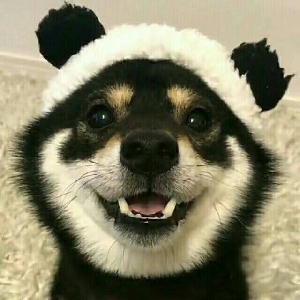 最喜之嫌 