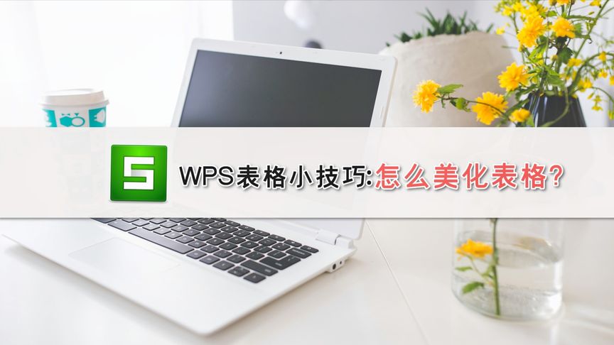 WPS表格小技巧:怎么美化表格?