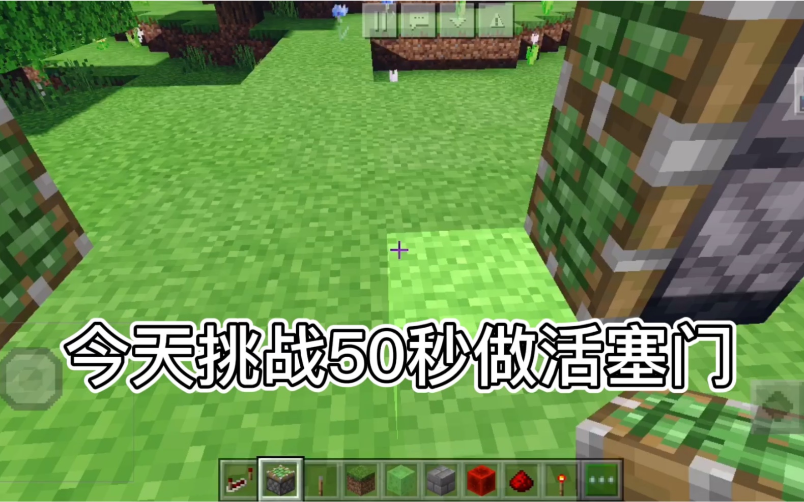 50秒做全网最简单活塞门【干货】【MC原创】