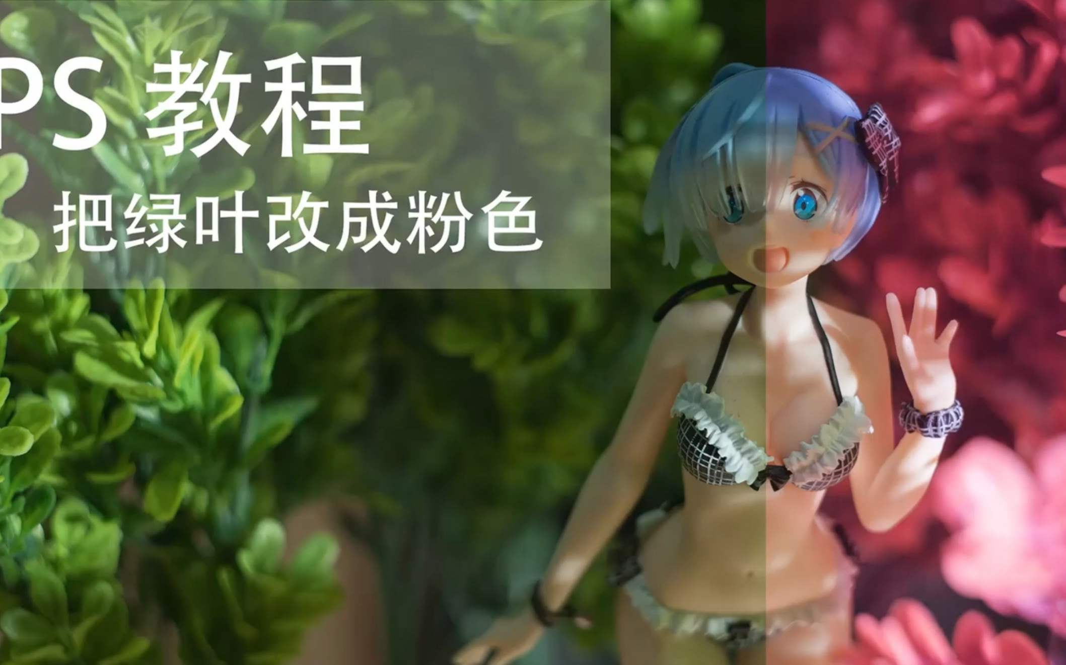 PS教程-绿叶改色