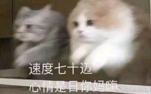 【橡皮章】字章荣耀不败(转印到印片未快进全过程)PS:蜜汁聚焦,前置...