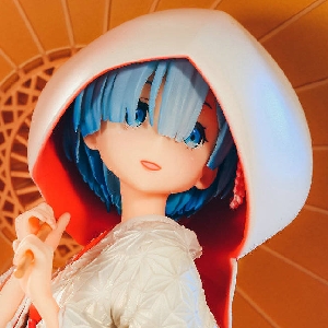 二十四个我我我 