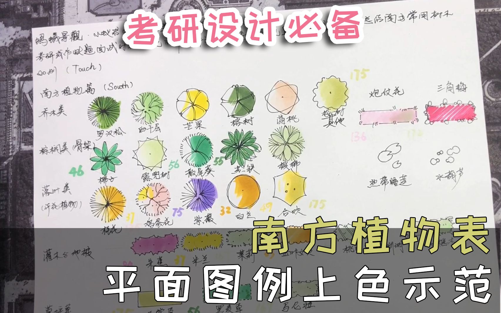 【景观手绘】南方植物表图例上色教程风园考研设计必备