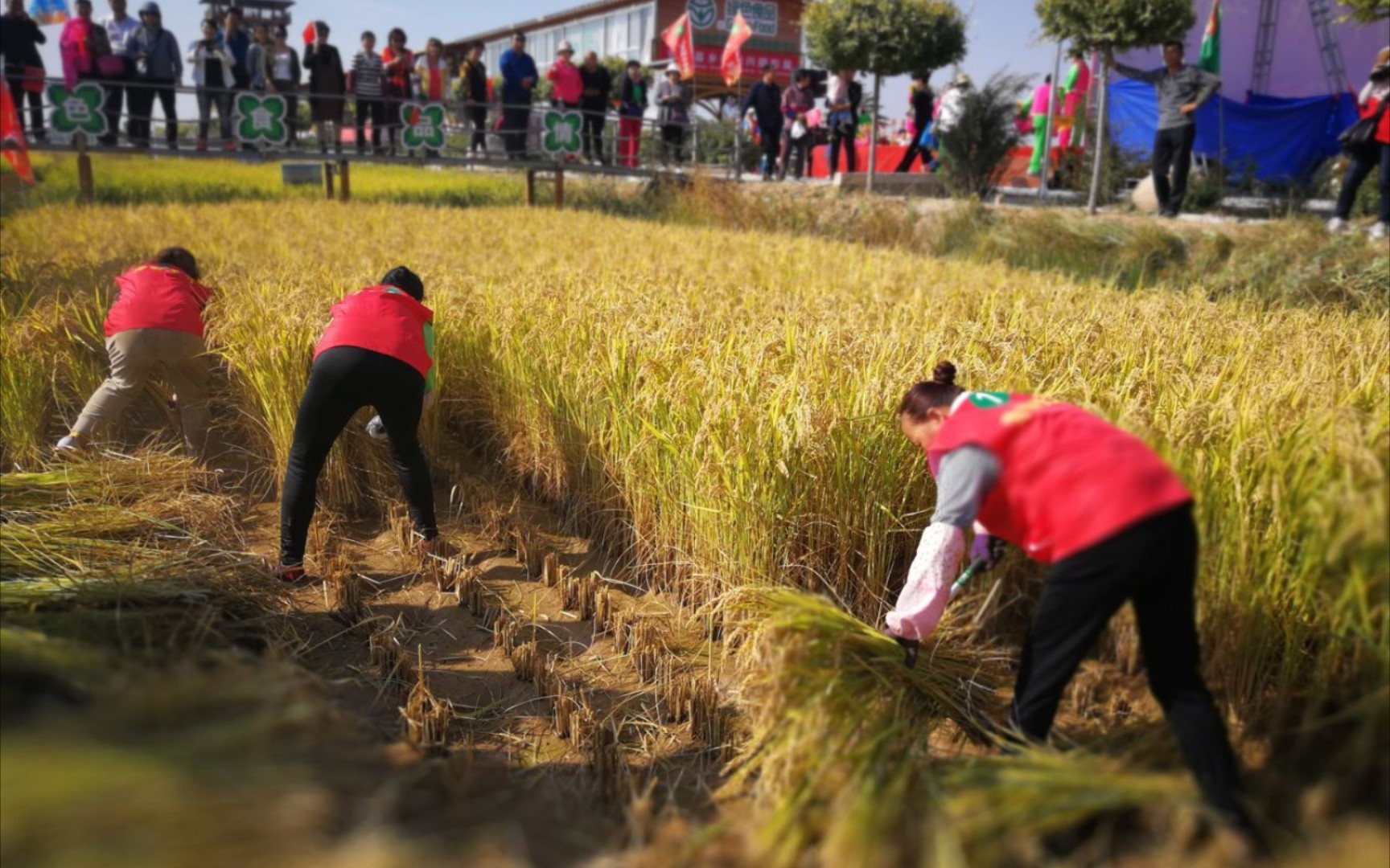 实践论:认知的过程是从感性到理性不断深化发展的