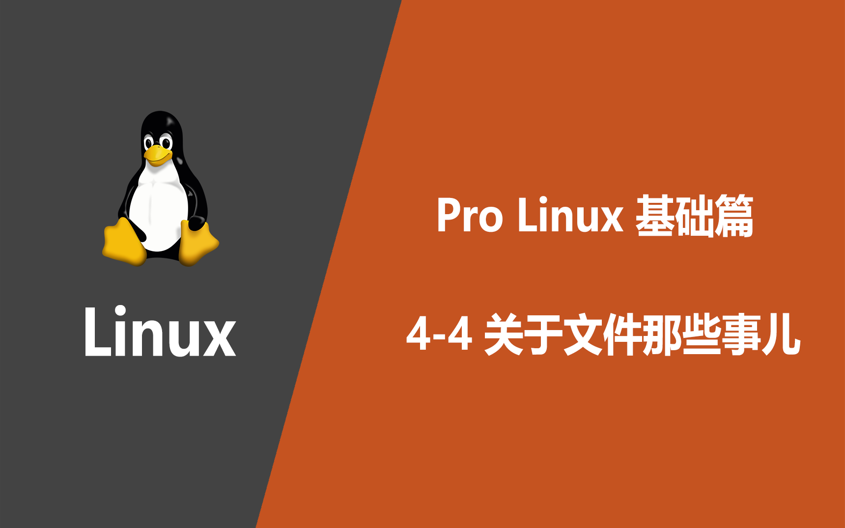 【原创·QG404】Pro Linux 基础篇丨4-4 关于文件那些事儿