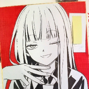 RC锂电池 