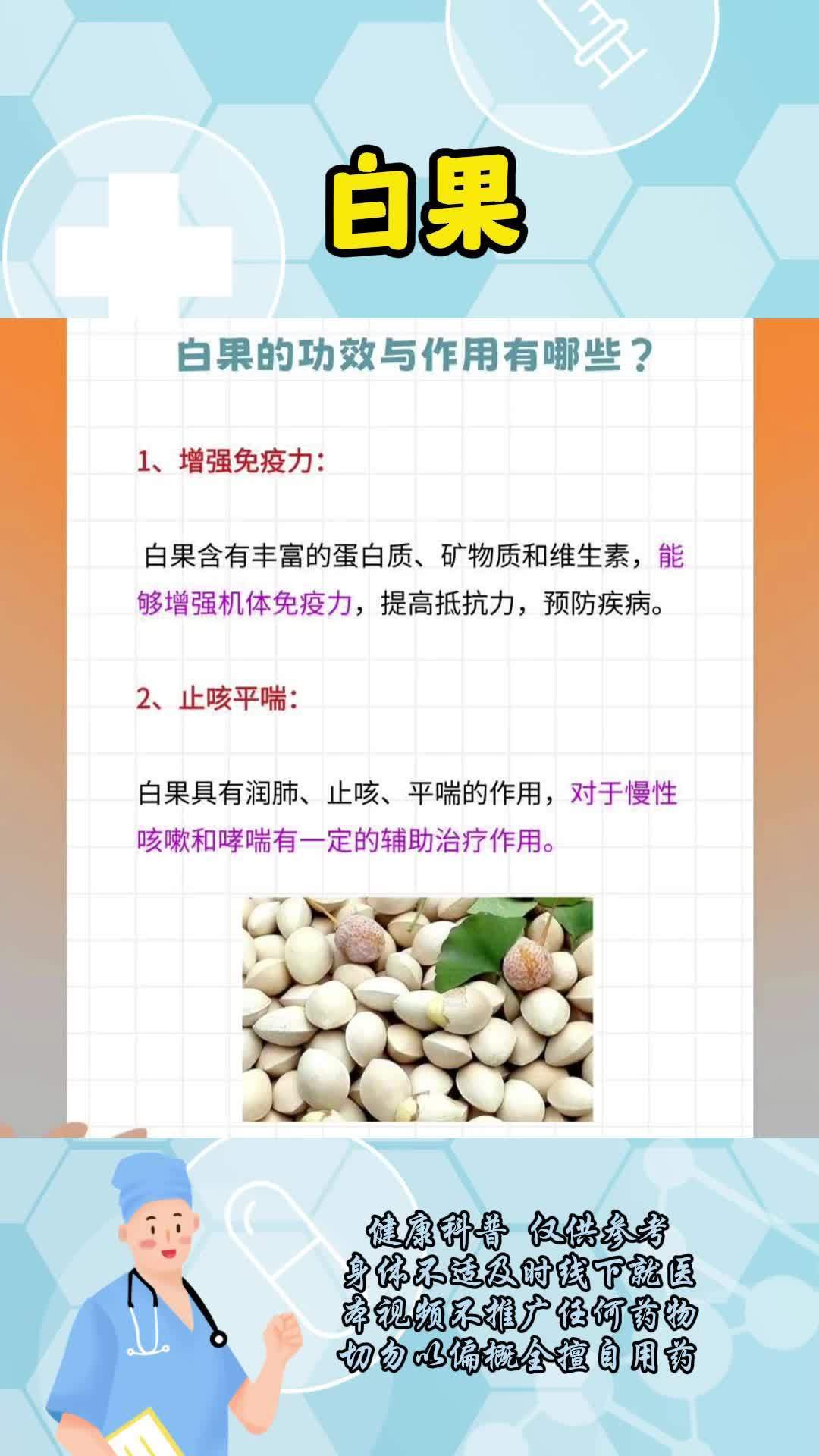 被誉为“长寿果”的神奇果实白果,究竟有哪些神奇的功效与作用?