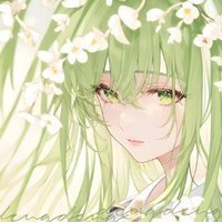 小夏椰子
