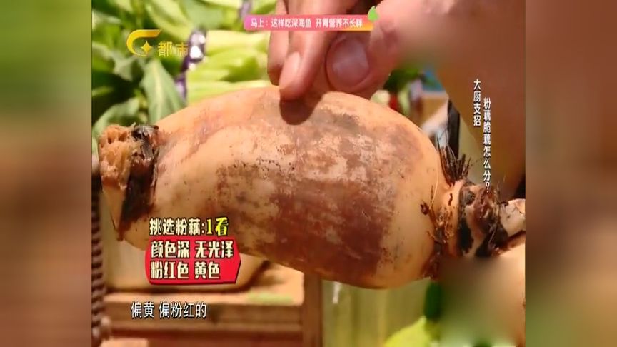 只要掌握这四个要点,就能让你百分之百区分粉藕与脆藕