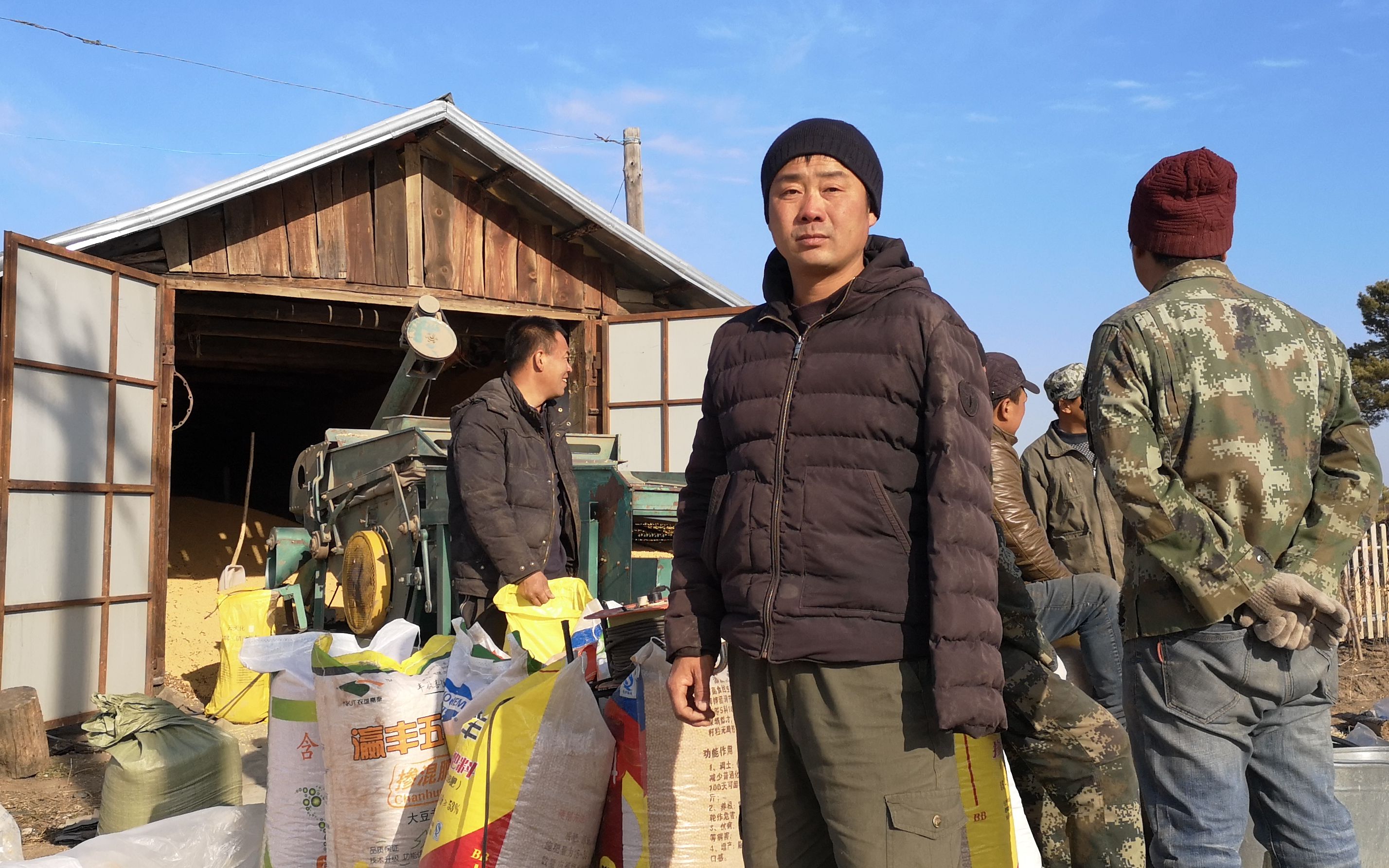 东北大豆种是咋选出来的?农村人精选黄豆籽种,准备明年的春耕