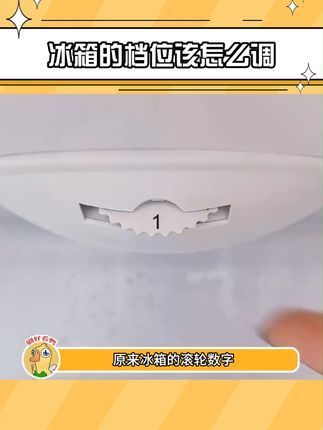 冰箱的档位该怎么调 #冰箱 #档位 #冷知识