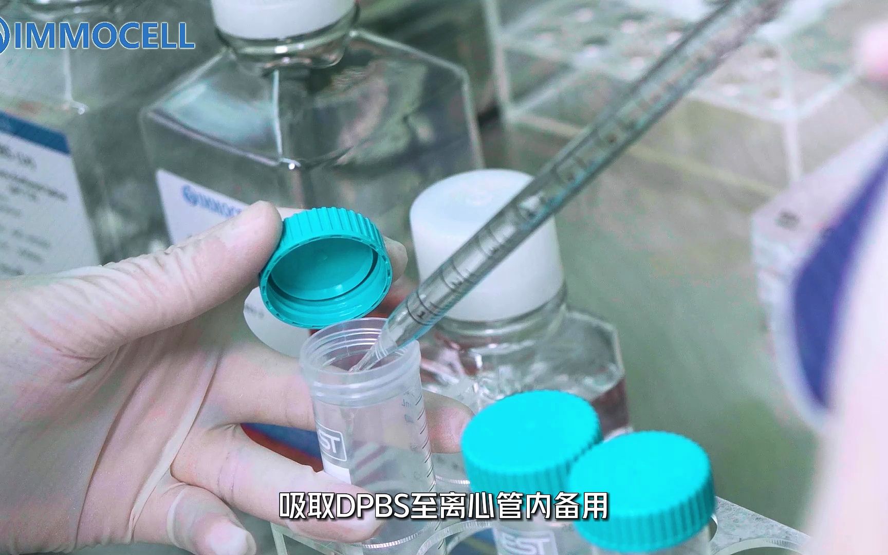 hESC细胞培养教程第四节:hESC细胞传代