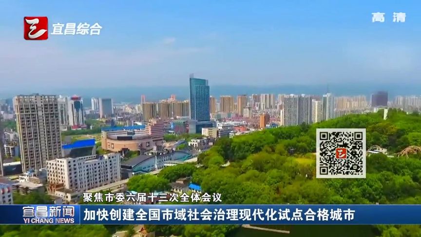 加快创建全国市域社会治理现代化试点合格城市
