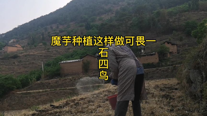 耕地前杀虫药,杀菌剂,消毒粉,复合肥一次性撒施可杀菌,消毒