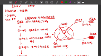 完成反射的条件(区别反应和反射,区别产生感觉和反射)