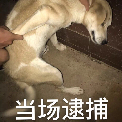 逮狗の少年 