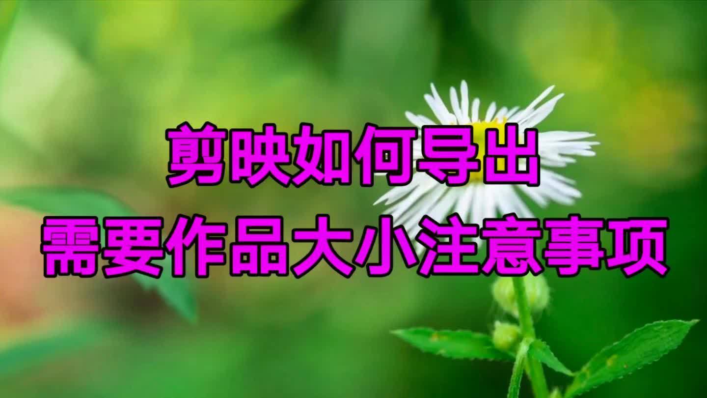 .剪映如何导出需要作品大小注意事项,实用教程.