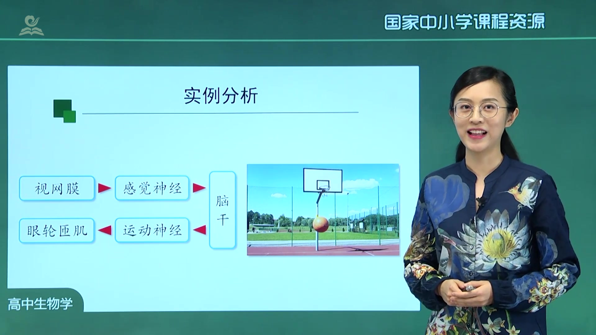 高二上 选修一 生物