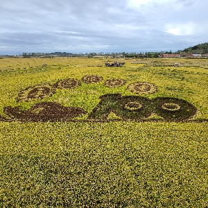 嫑烎Oo 