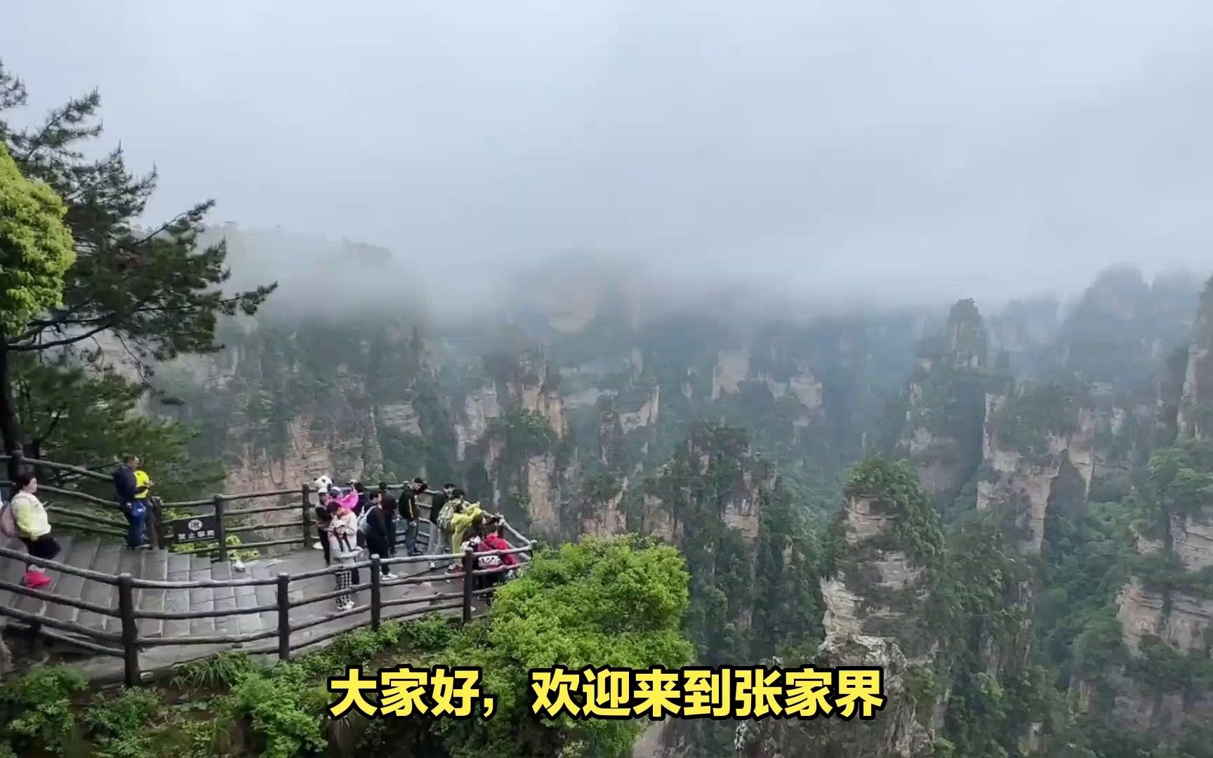 看!张家界之旅,探索奇幻自然与美食天堂!