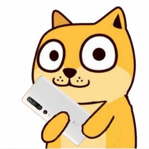 吃饭睡觉打西西 
