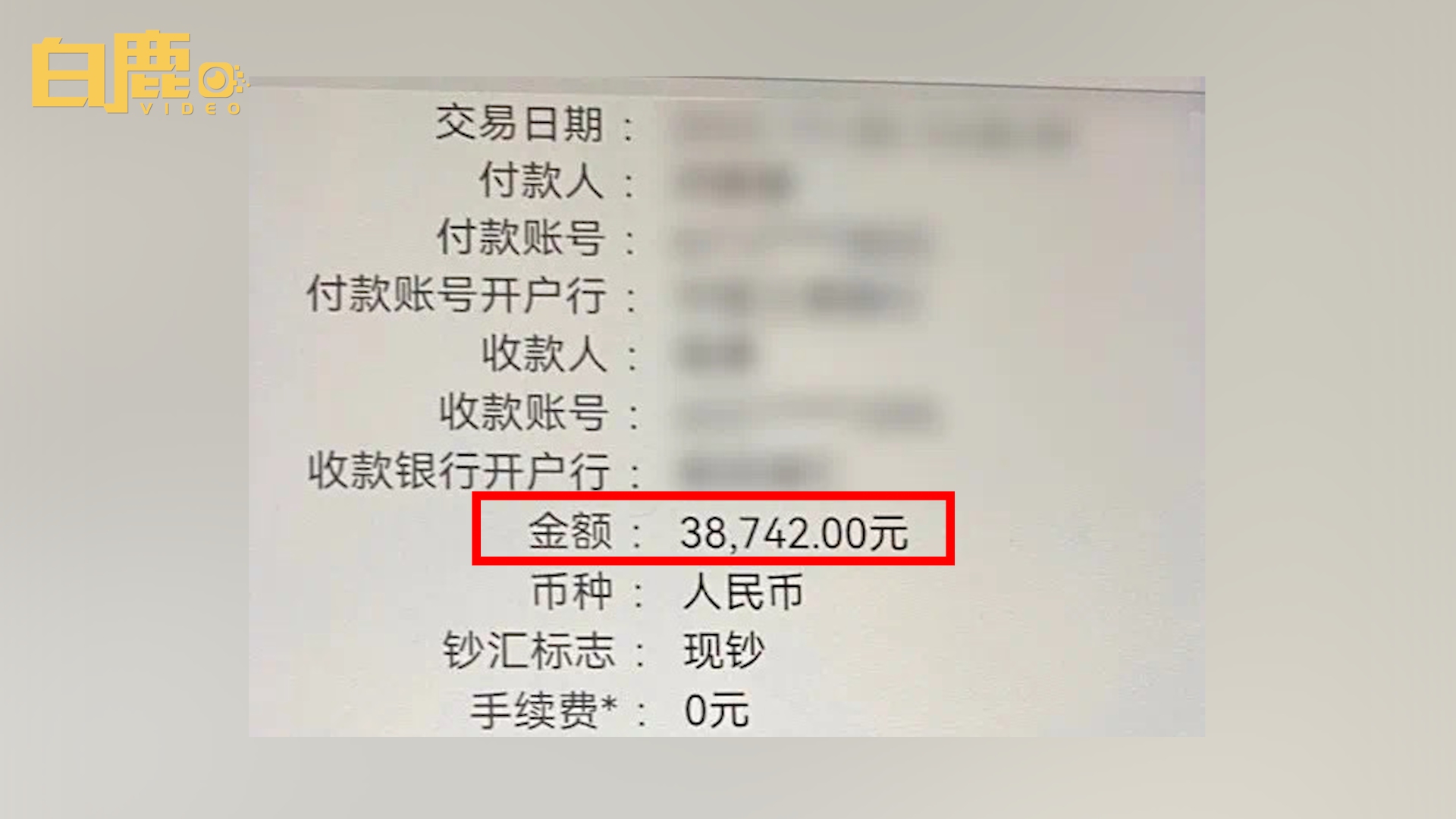 女子被骗掏光积蓄又贷40万修征信