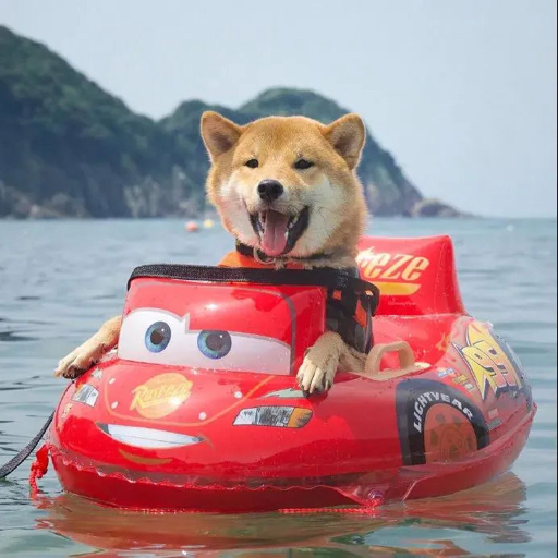 路过的草莓熊 
