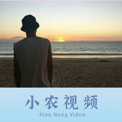 小农数据 
