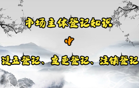 市场主体登记知识(中)