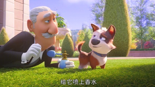 这么可爱的狗狗,你想养一只吗