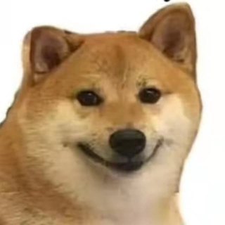 大壮啊这 