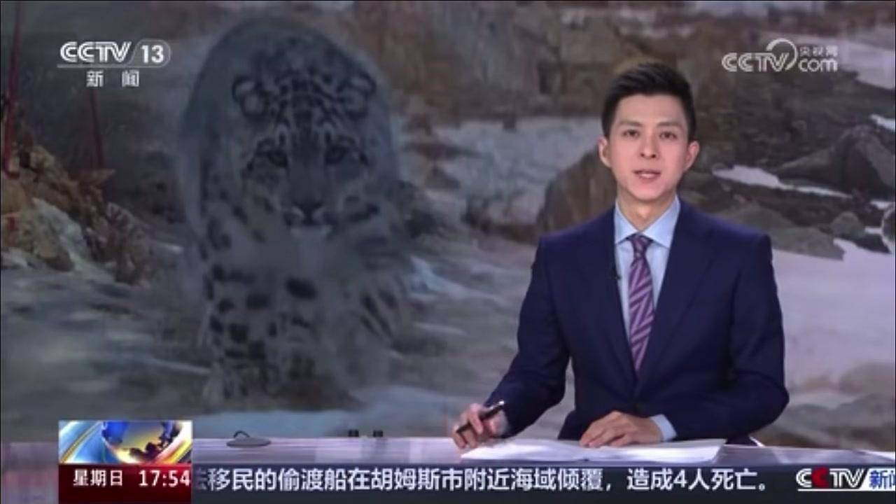 央视报道!青海大通北川河源区国家级自然保护区守护高原生灵"电子眼"...