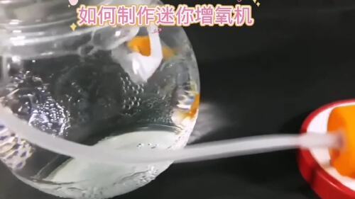 科学小手工增氧机制作