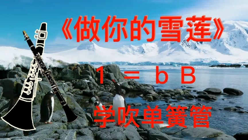 学习单簧管本调指法吹奏bB调《做你的雪莲》。卡啦OK动态彩色字幕